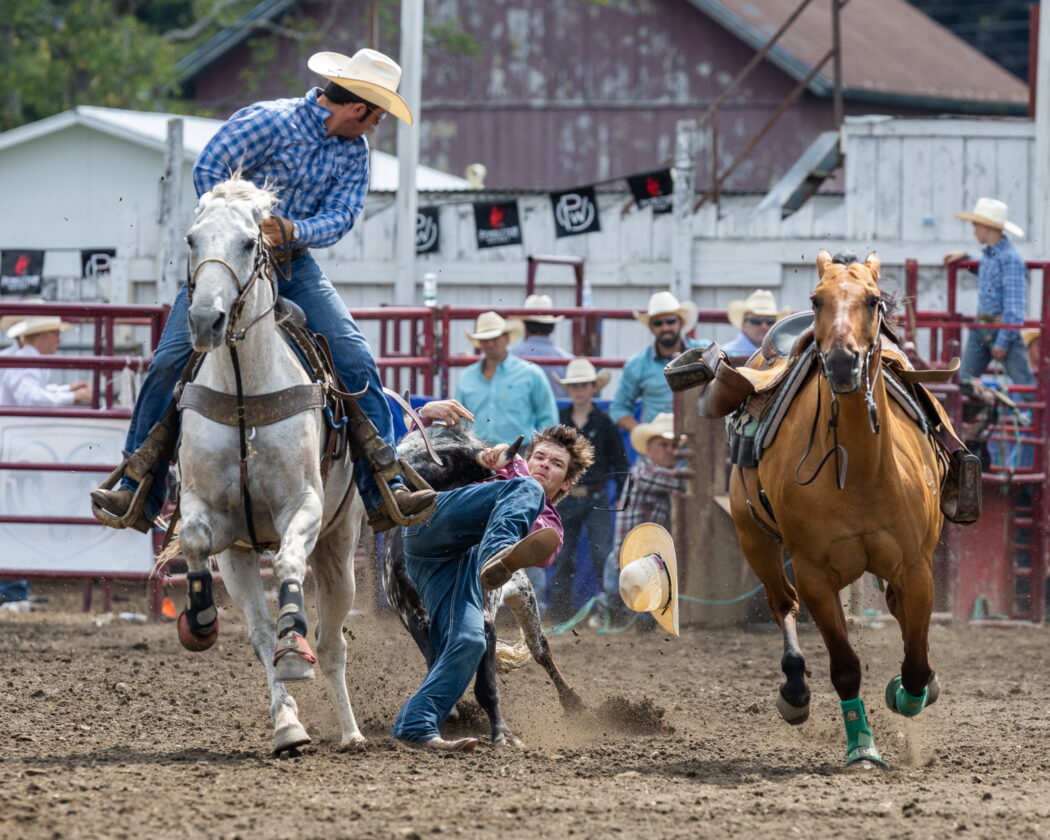 Action coming to a close at Gerry Rodeo | News, Sports, Jobs - Times ...